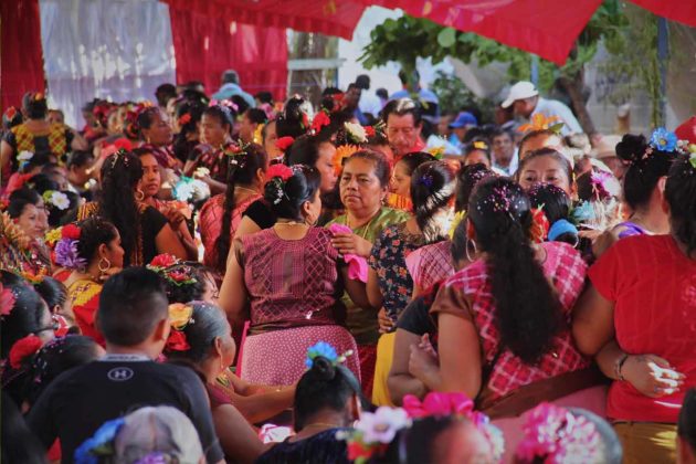 La vida en el Istmo · Pixel Velado