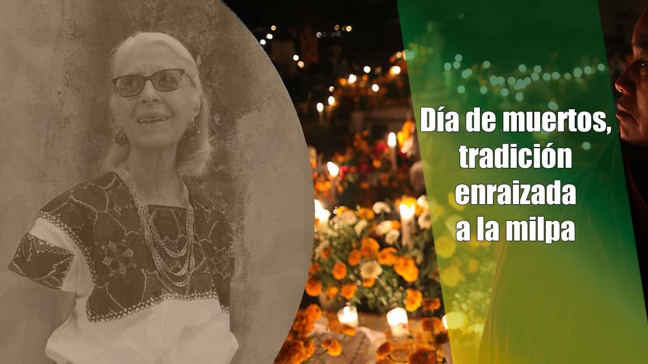 Día de muertos, tradición enraizada a la milpa · Nos videamos